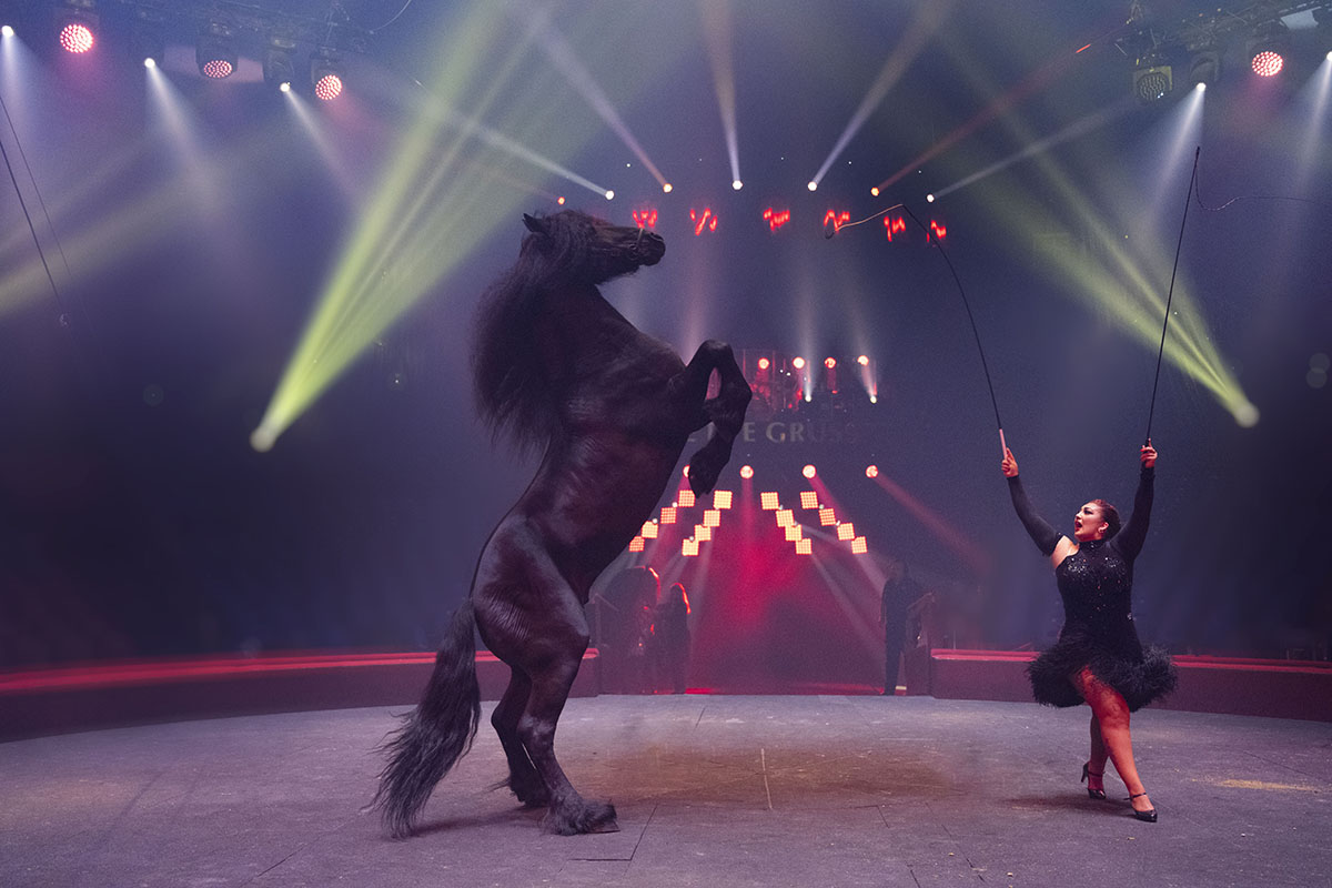 Spectacle - Cirque Arlette Gruss en tournée - Nouveau Spectacle